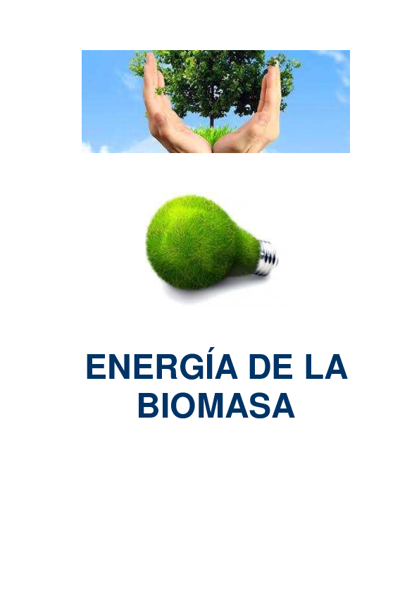 (PDF) ENERGÍA DE LA BIOMASA