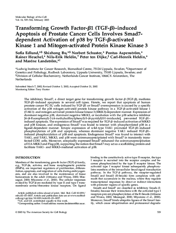 (PDF) Transforming Growth Factor-beta 1 (TGF-beta )-induced Apoptosis of Prostate Cancer Cells ...