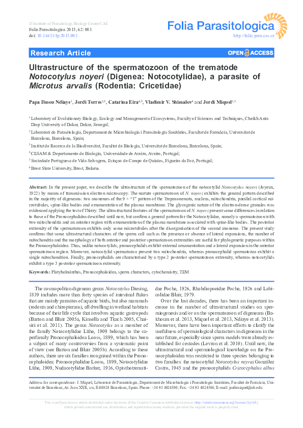 (PDF) Ultrastructure of the spermatozoon of the trematode Notocotylus ...