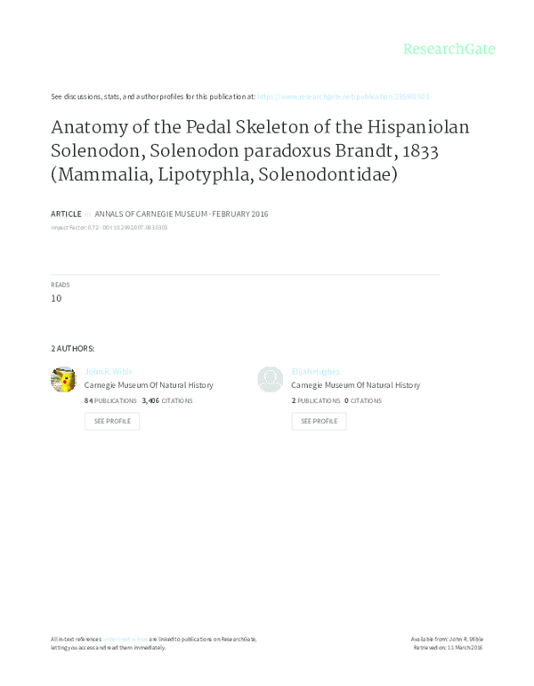 (PDF) Anatomy of the Pedal Skeleton of the Hispaniolan Solenodon ...