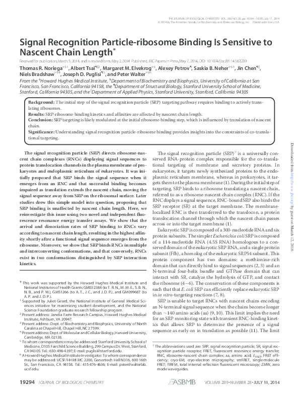 (PDF) Signal Recognition Particle-Ribosome Binding Is Sensitive To Nascent-Chain Length