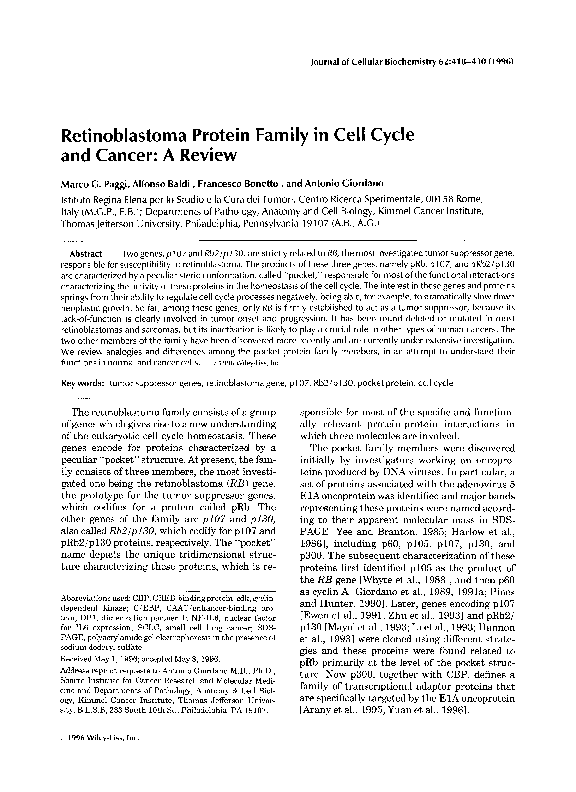 (PDF) Retinoblastoma protein family in cell cycle and cancer: A review