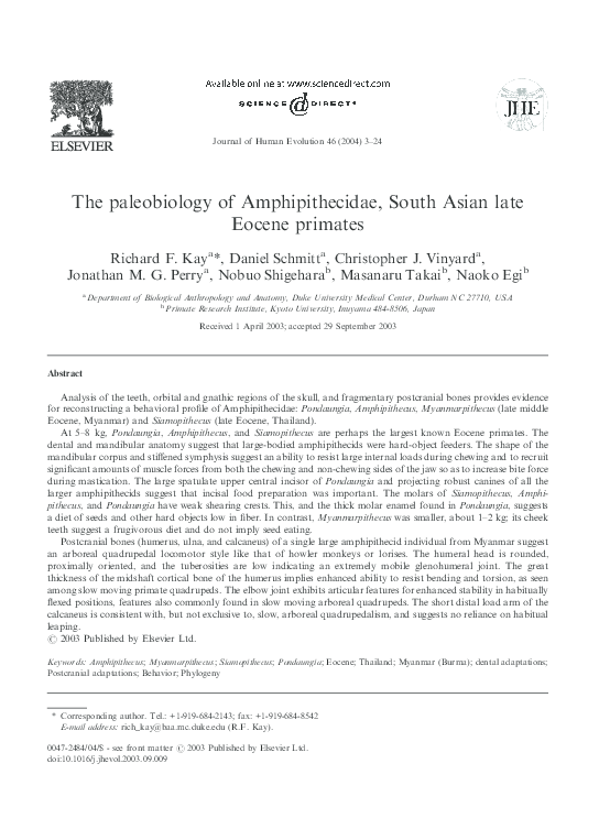 (PDF) The paleobiology of Amphipithecidae, South Asian late Eocene primates
