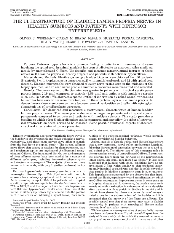 (PDF) The Ultrastructure of Bladder Lamina Propria Nerves in Healthy ...