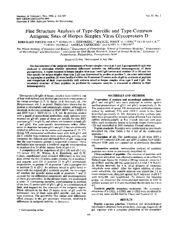(PDF) Fine structure analysis of type-specific and type-common ...