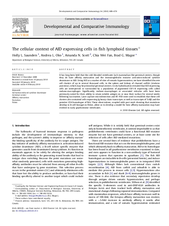 (PDF) The cellular context of AID expressing cells in fish lymphoid tissues