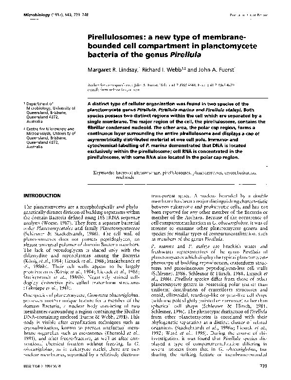 (PDF) Pirellulosomes: a new type of membrane-bounded cell compartment ...