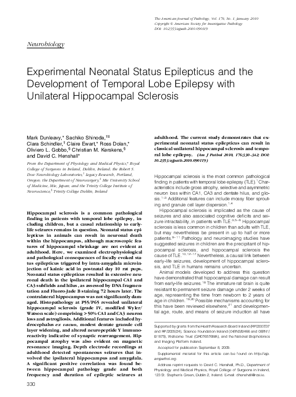 (PDF) Experimental Neonatal Status Epilepticus and the Development of Temporal Lobe Epilepsy ...