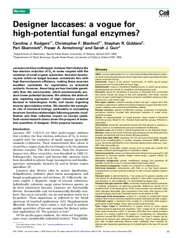 (PDF) Designer laccases: a vogue for high-potential fungal enzymes?