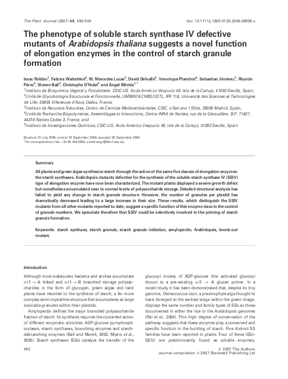 (PDF) The phenotype of soluble starch synthase IV defective mutants of ...