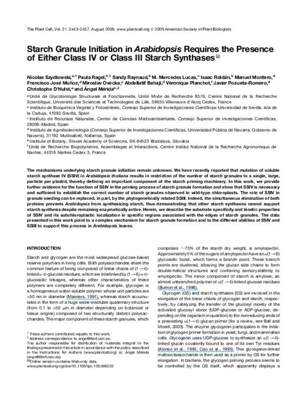 (PDF) Starch Granule Initiation in Arabidopsis Requires the Presence of ...