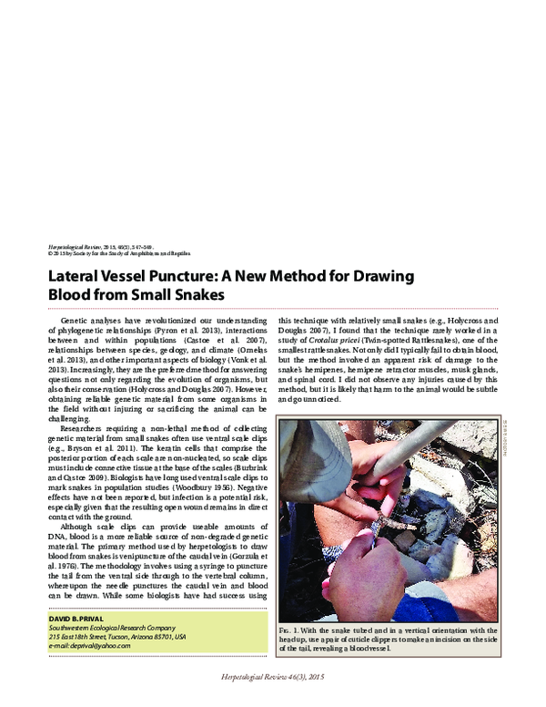 (PDF) Lateral Vessel Puncture: A New Method for Drawing Blood from ...