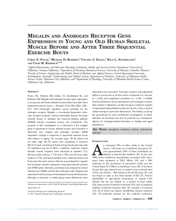 (PDF) Megalin and Androgen Receptor Gene Expression in Young and Old ...