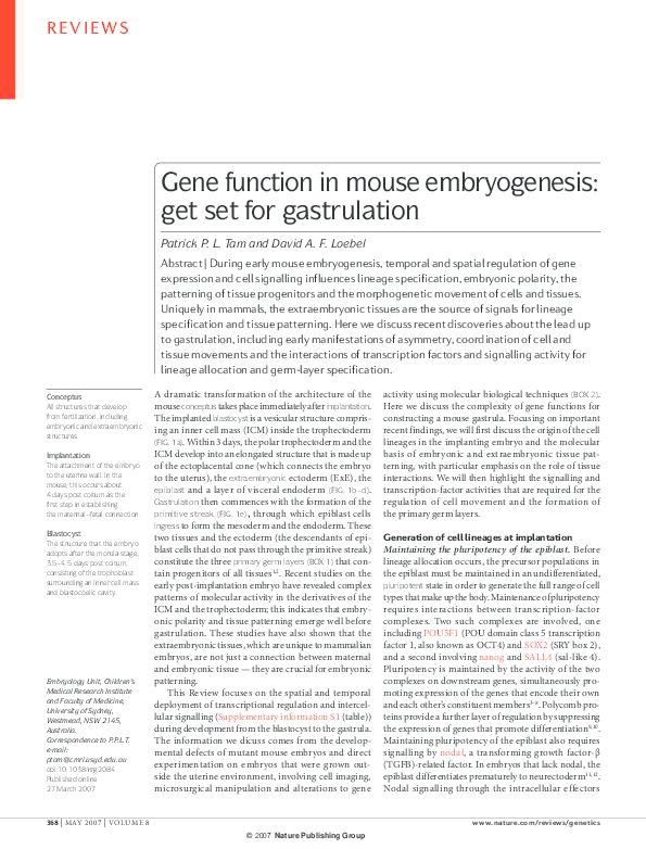 (PDF) Gene function in mouse embryogenesis: get set for gastrulation