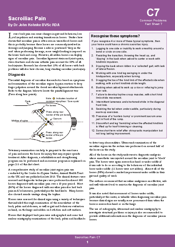 (PDF) Sacroiliac Pain Midline of spine