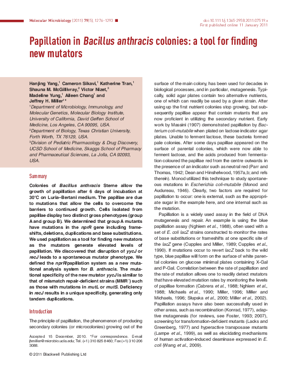 (PDF) Papillation in Bacillus anthracis colonies: a tool for finding ...