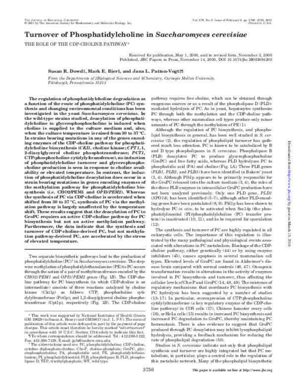 (PDF) Turnover of Phosphatidylcholine in Saccharomyces cerevisiae. THE ...