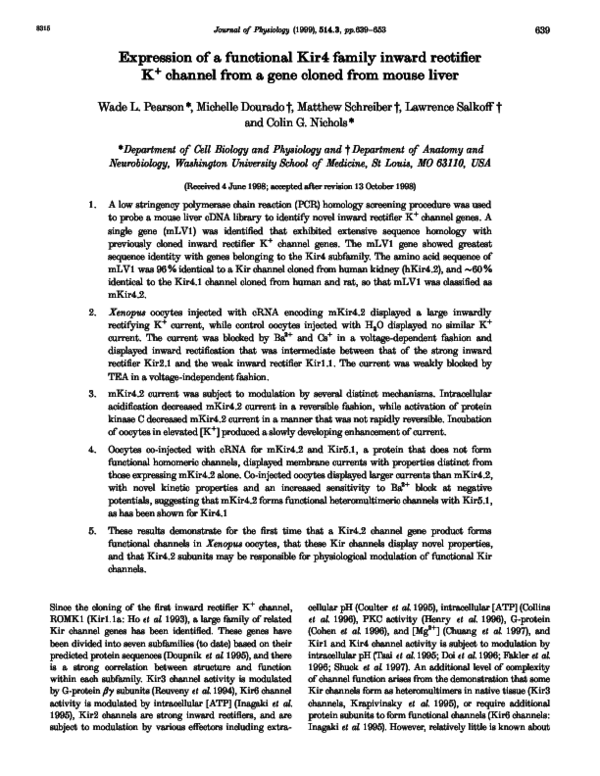 (PDF) Expression of a functional Kir4 family inward rectifier K+ ...