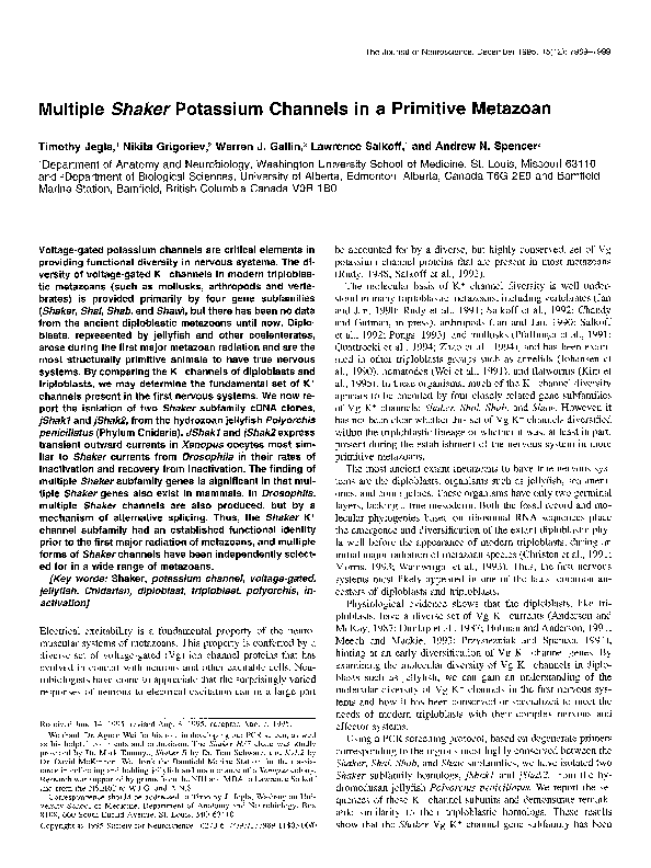 (PDF) Multiple Shaker potassium channels in a primitive metazoan