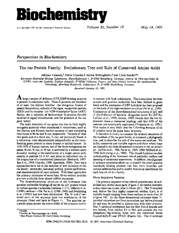 (PDF) The ras protein family: evolutionary tree and role of conserved ...