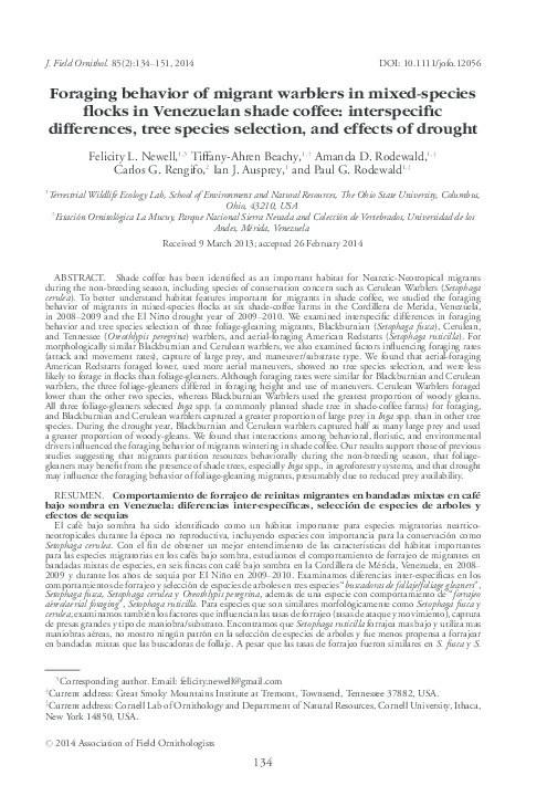 Foraging behavior of migrant warblers in mixed-species flocks in ...