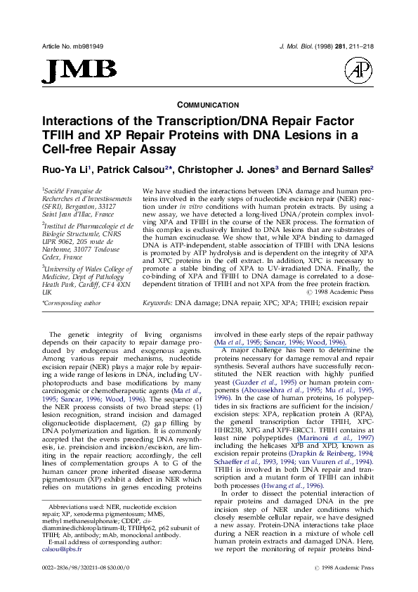 (PDF) Interactions of the transcription/DNA repair factor TFIIH and XP repair proteins with DNA ...