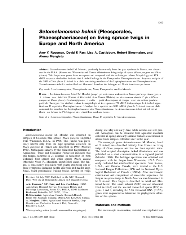 (PDF) Setomelanomma holmii (Pleosporales, Phaeosphaeriaceae) on living ...