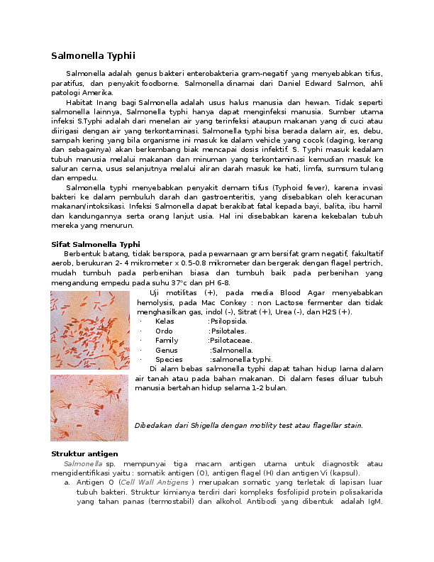 (DOC) Salmonella Typhii