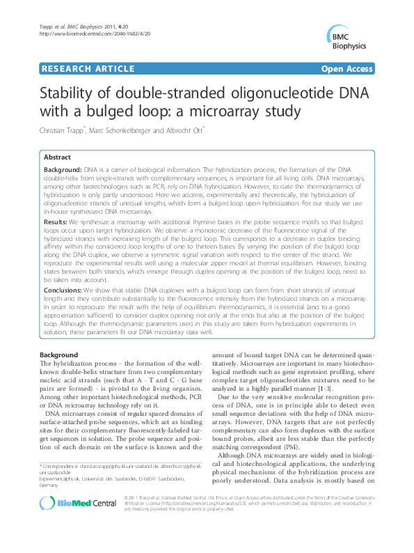 (PDF) Stability of double-stranded oligonucleotide DNA with a bulged ...