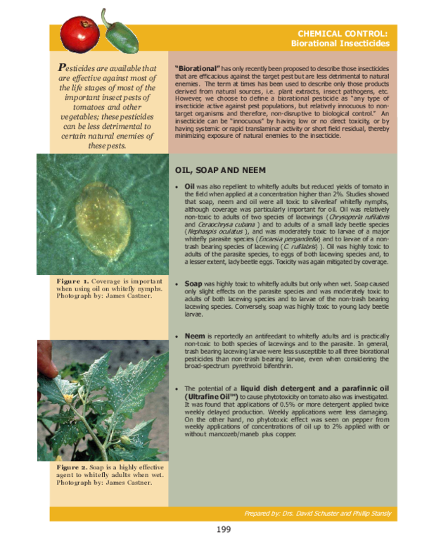 (PDF) Biorational Insecticides