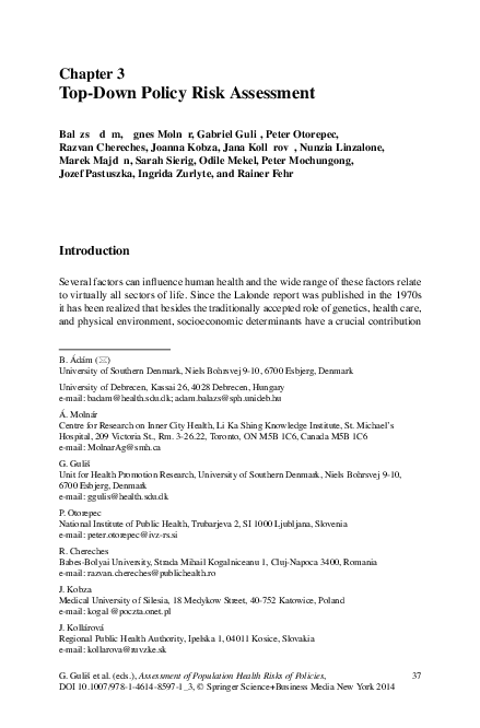 (PDF) Top-Down Policy Risk Assessment