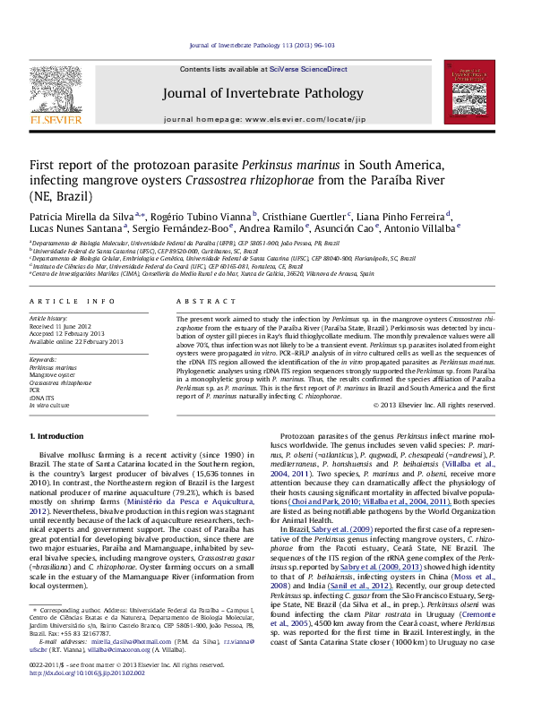 (PDF) First report of the protozoan parasite Perkinsus marinus in South ...