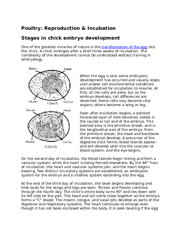 (DOC) Poultry: Reproduction & Incubation Stages in chick embryo development