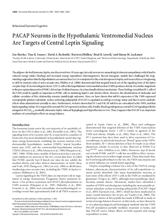 (PDF) PACAP Neurons in the Hypothalamic Ventromedial Nucleus Are ...