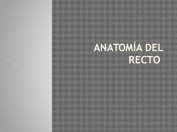 (PPT) Anatomía del recto