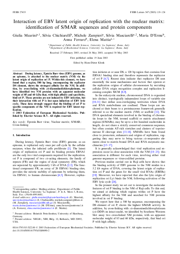 (PDF) Interaction of EBV latent origin of replication with the nuclear ...