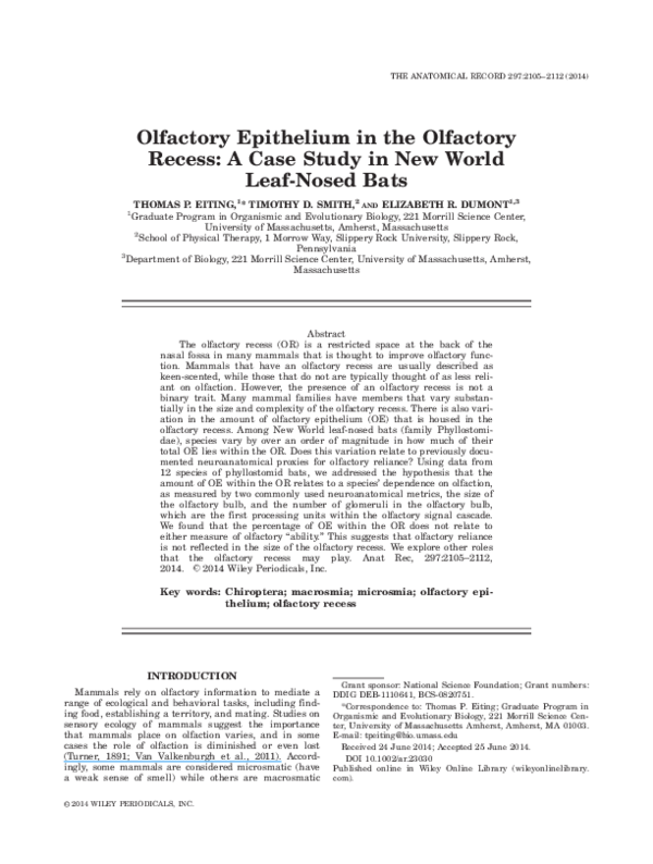 (PDF) Olfactory epithelium in the olfactory recess: a case study in new ...