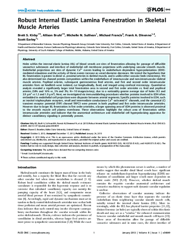 (PDF) Robust Internal Elastic Lamina Fenestration in Skeletal Muscle ...