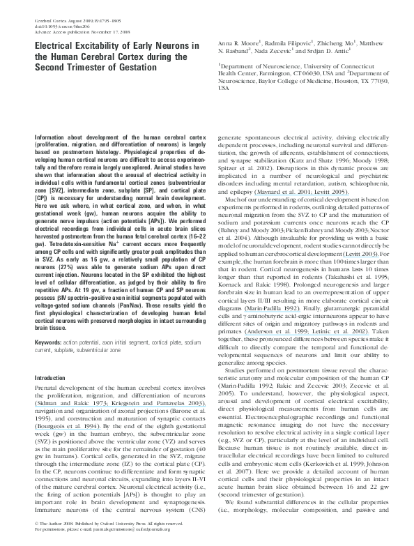 Pdf Postnatal Development Of Membrane Properties Of Layer I Neurons In Rat Neocortex