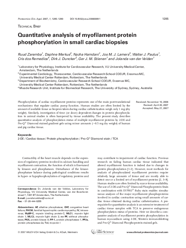 (PDF) Quantitative analysis of myofilament protein phosphorylation in ...