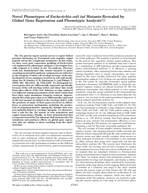 (PDF) Novel Phenotypes of Escherichia coli tat Mutants Revealed by ...
