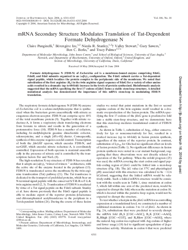 mRNA Secondary Structure Modulates Translation of Tat-Dependent Formate ...