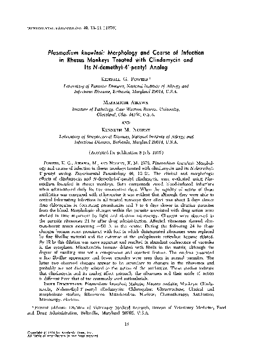 (PDF) Plasmodium knowlesi: Morphology and course of infection in rhesus ...