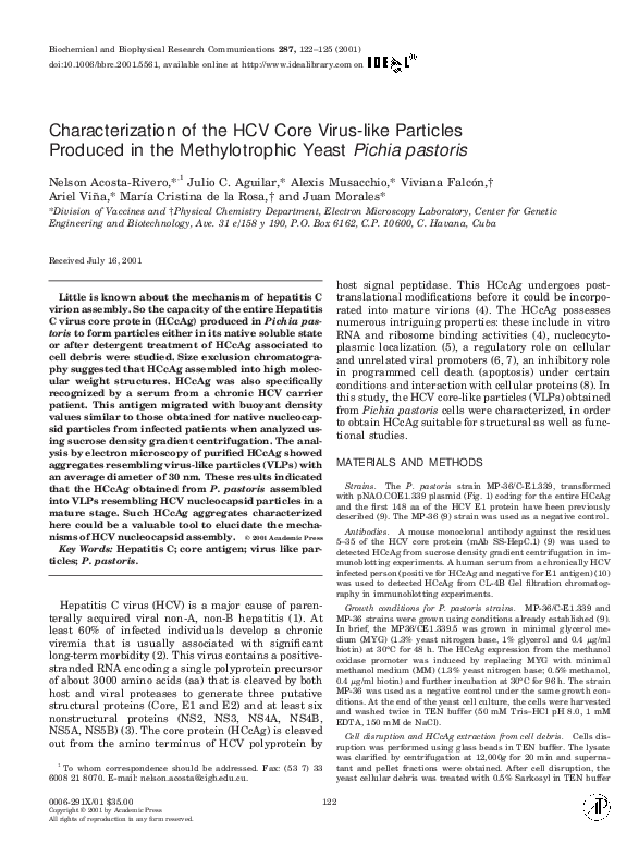 (PDF) Characterization of the HCV Core Virus-like Particles Produced in ...