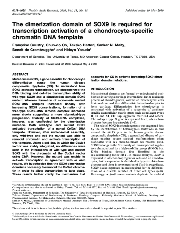 (PDF) The dimerization domain of SOX9 is required for transcription activation of a chondrocyte ...