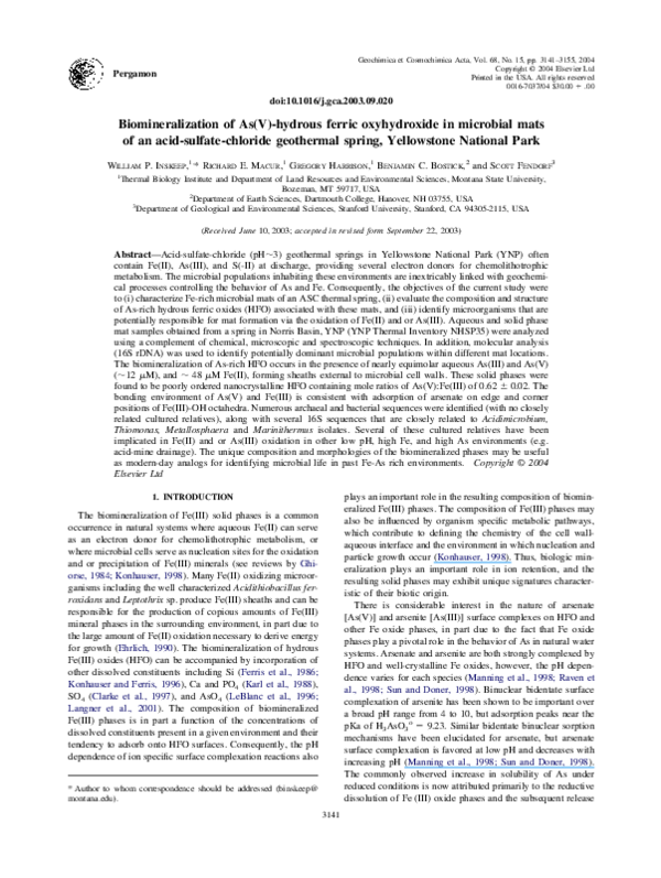 (PDF) Biomineralization of As(V)-hydrous ferric oxyhydroxide in ...