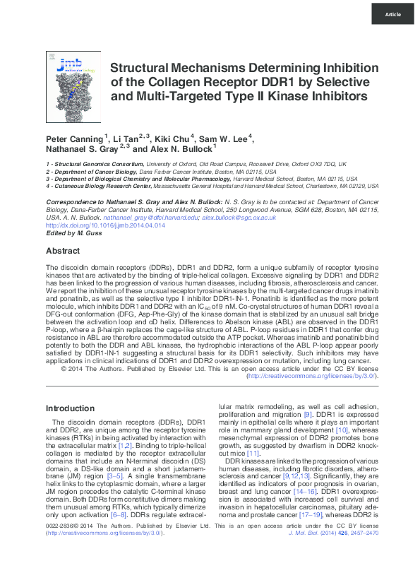 (PDF) Structural Mechanisms Determining Inhibition of the Collagen ...
