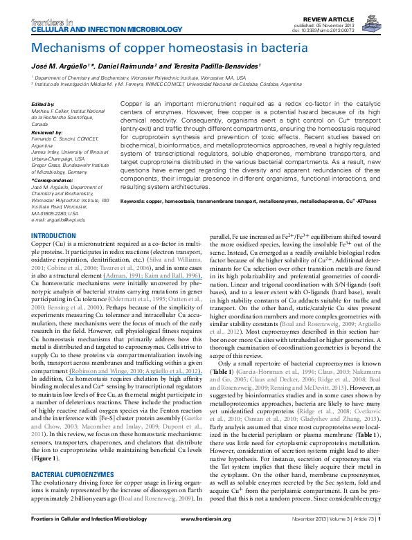 (PDF) Mechanisms of copper homeostasis in bacteria