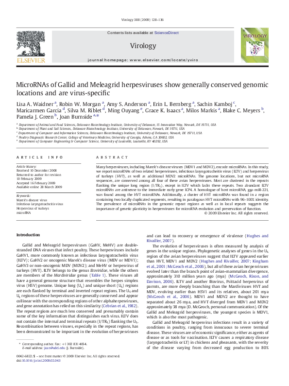 (PDF) MicroRNAs of Gallid and Meleagrid herpesviruses show generally ...