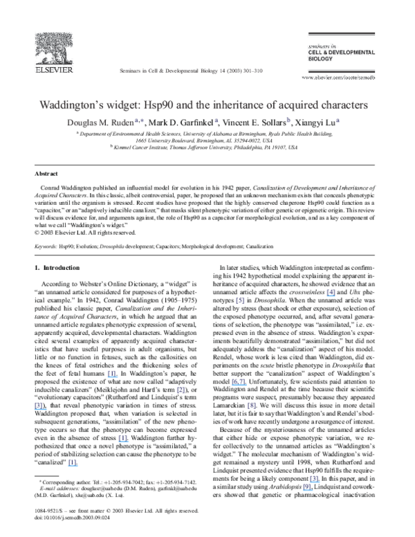 (PDF) Waddington’s widget: Hsp90 and the inheritance of acquired characters